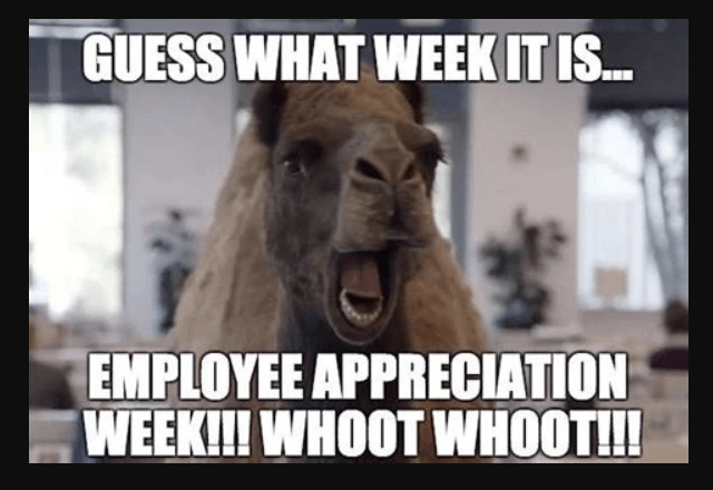 Funny Employee Appreciation Memes l Employee Appreciation Day Quote and ...